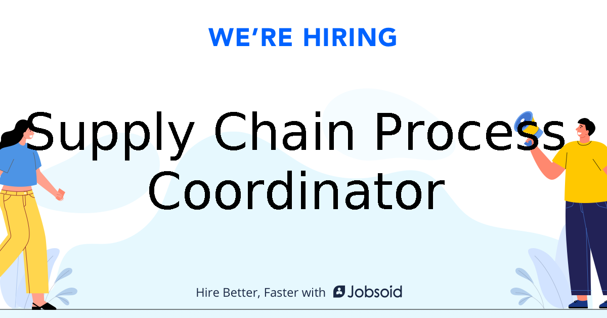 Supply Chain Process Coordinator - Ray Human Capital, Lda